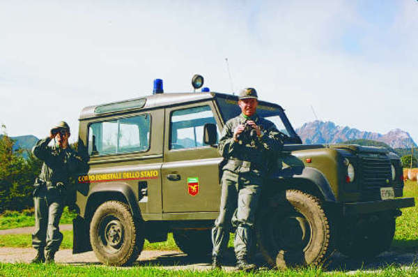 Concorsi Guardia forestale, come arruolarsi e poi passare al servizio ...